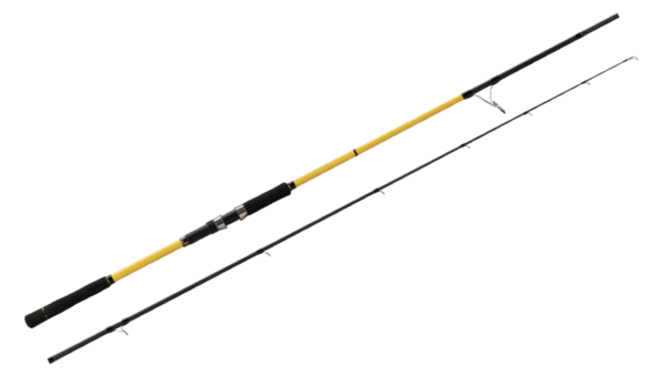 CEANA FW SPINNING - Major Craft Europe