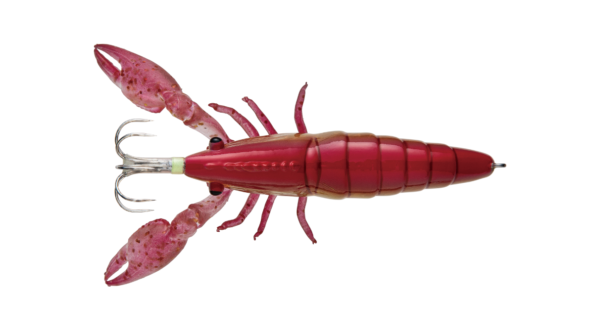 TACO EBI - Major Craft Europe